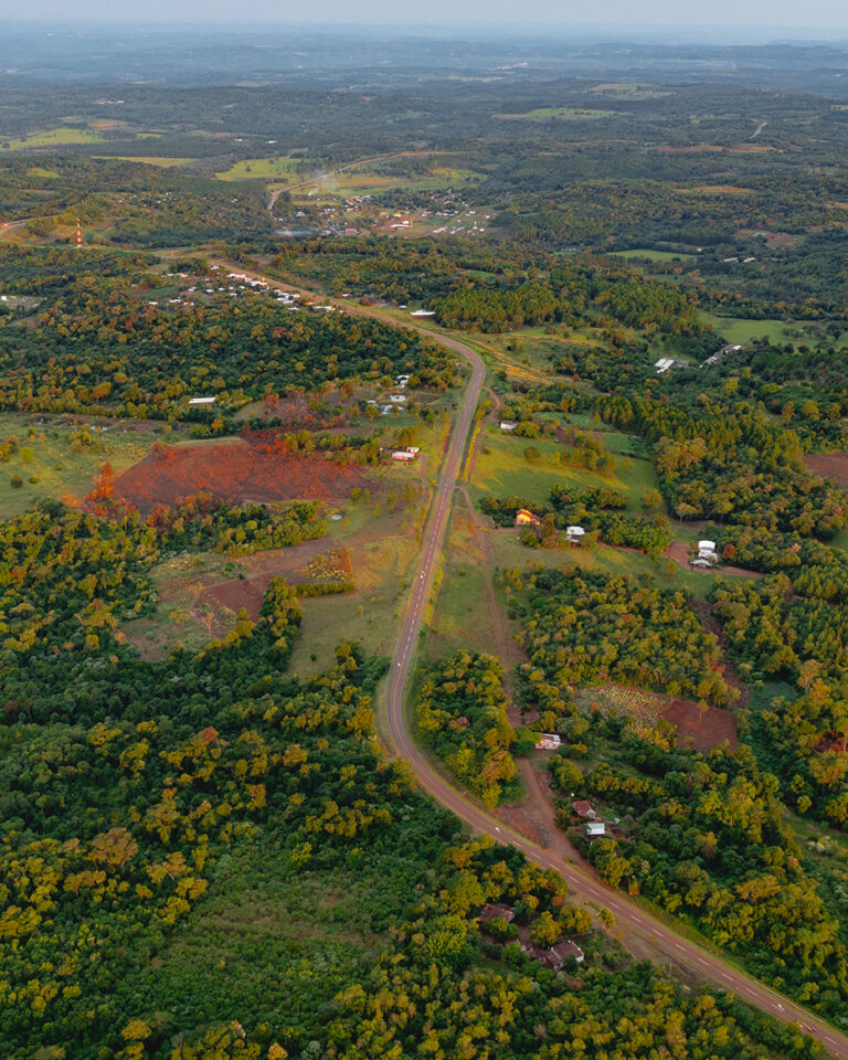¿Qué son los bioinsecticidas y cómo están transformando el manejo de ...